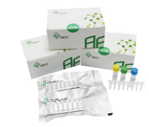 产品详情页-Amp-Future/安普未来