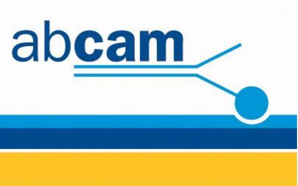 产品详情页-Abcam