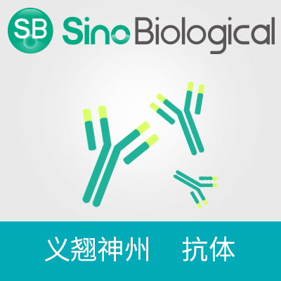 产品详情页-Sino Bioligical/义翘神州